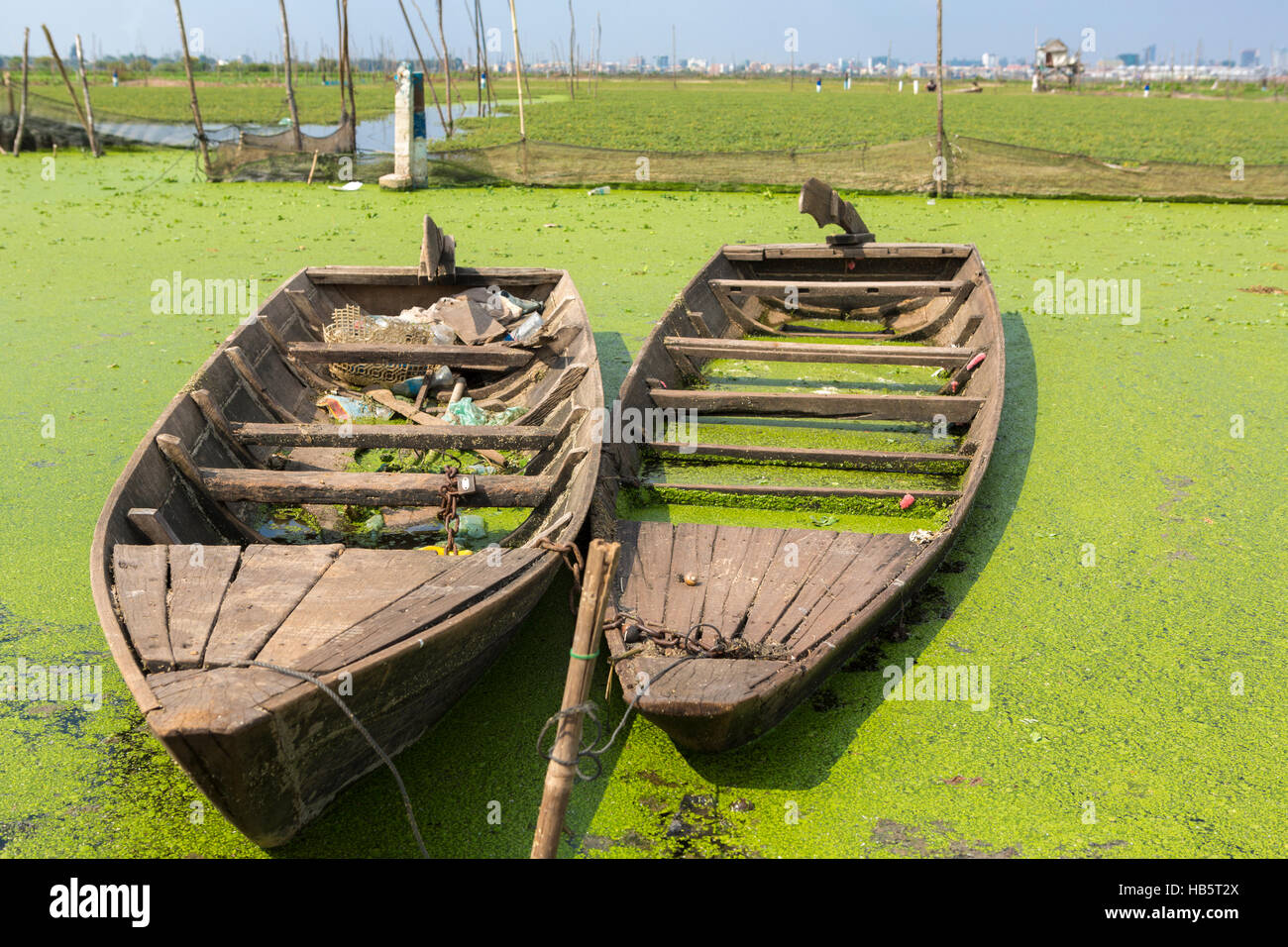 Boats floating near rice fields with Phnom Penh in the background Stock ...