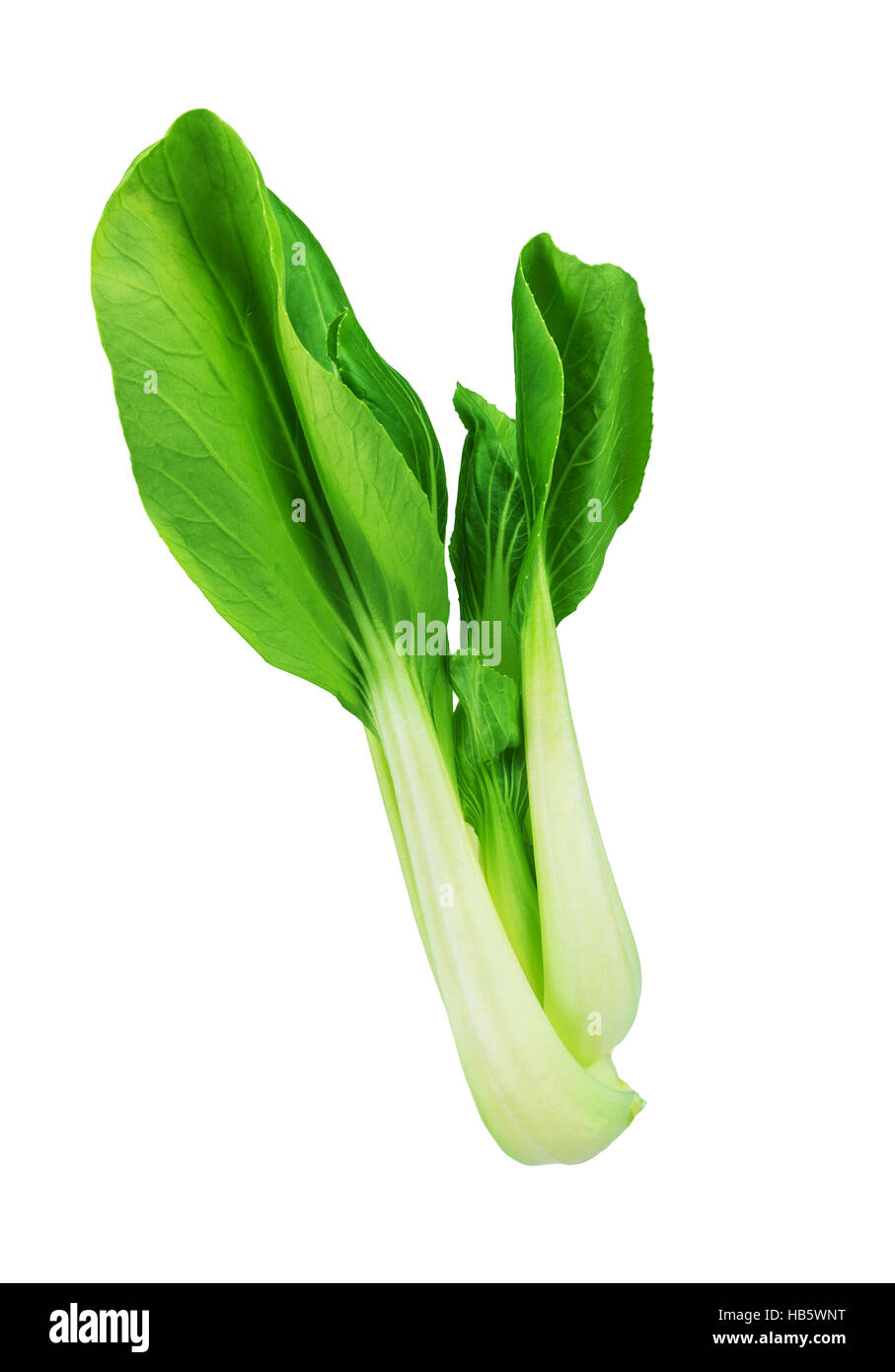Pak choi cabbage Cut Out Stock Images & Pictures - Alamy