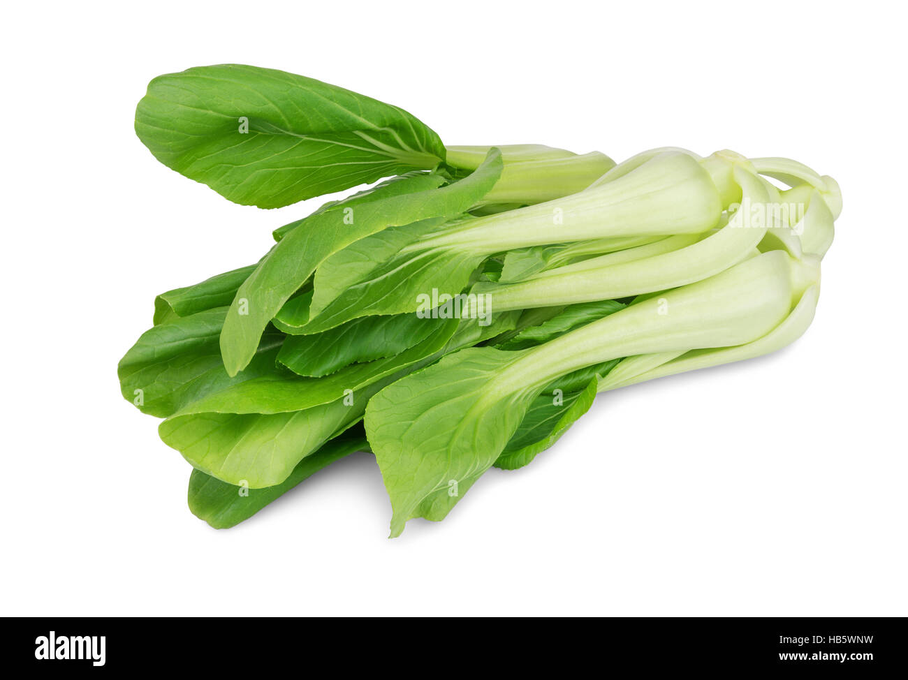 cabbage pak choy Stock Photo - Alamy