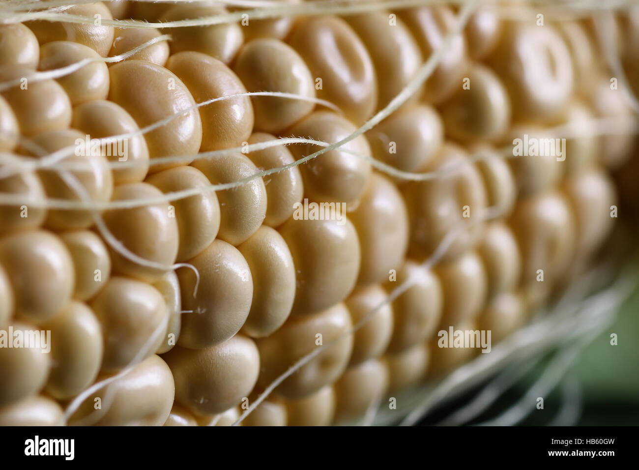 corn cob young macro Stock Photo - Alamy