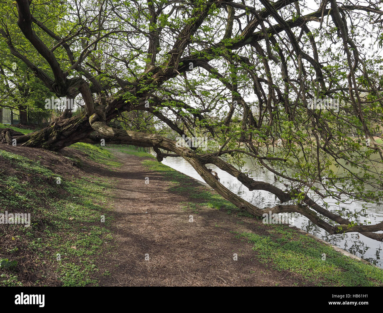 River Po in Turin Stock Photo - Alamy
