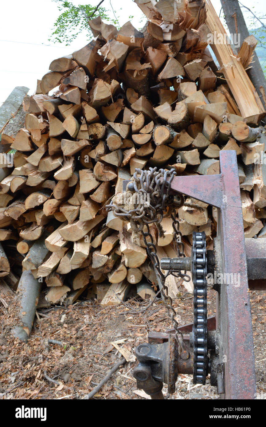 Tree cutting machine hi-res stock photography and images - Alamy