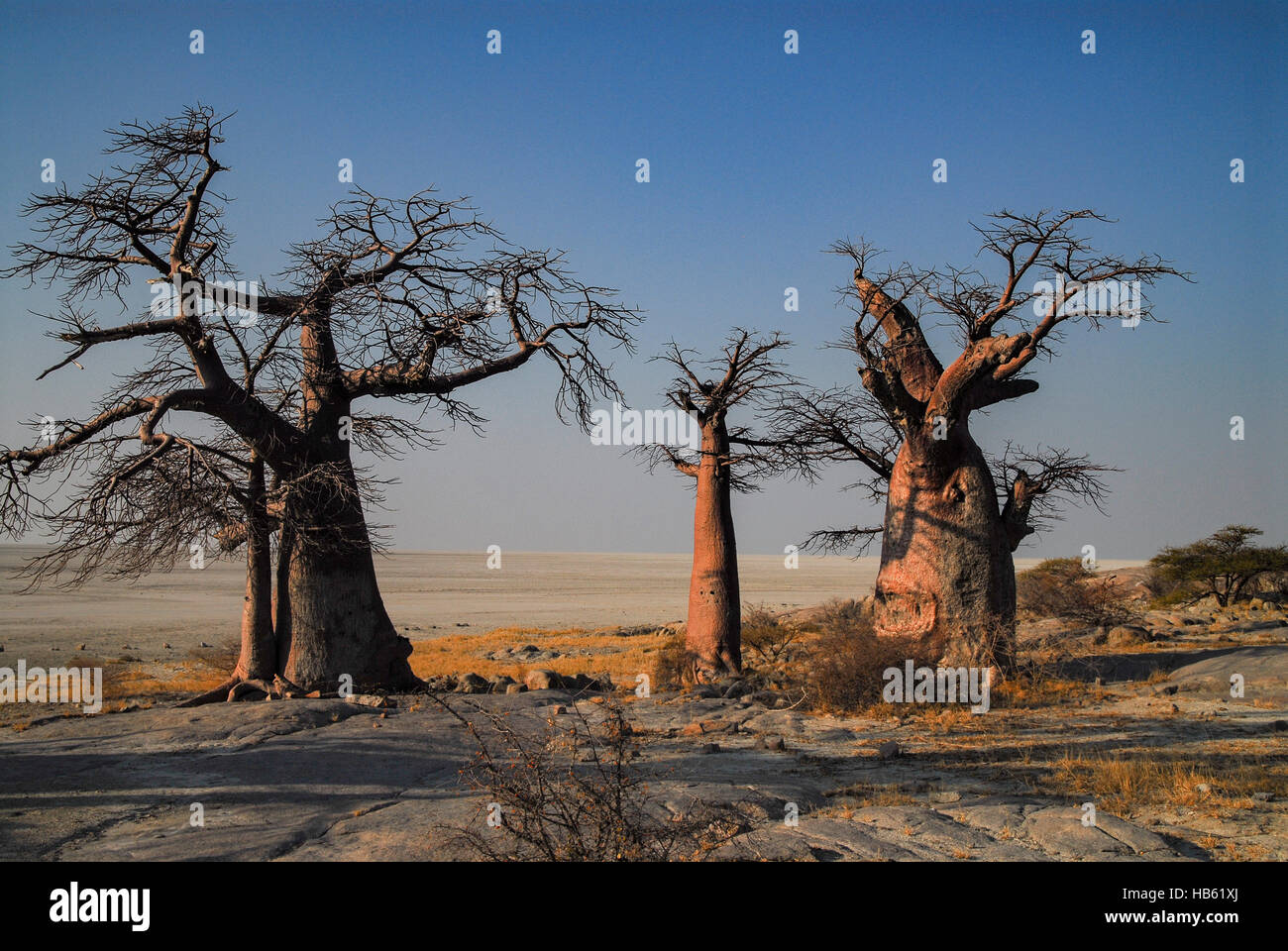 Sahara suda hi-res stock photography and images - Alamy