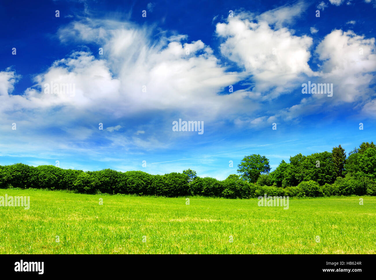 Summer season trees hi-res stock photography and images - Alamy