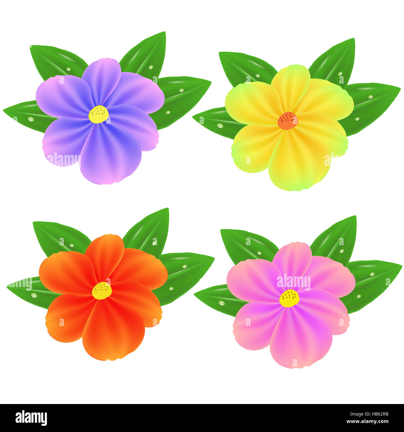 Set fresh spring summer hi-res stock photography and images - Alamy