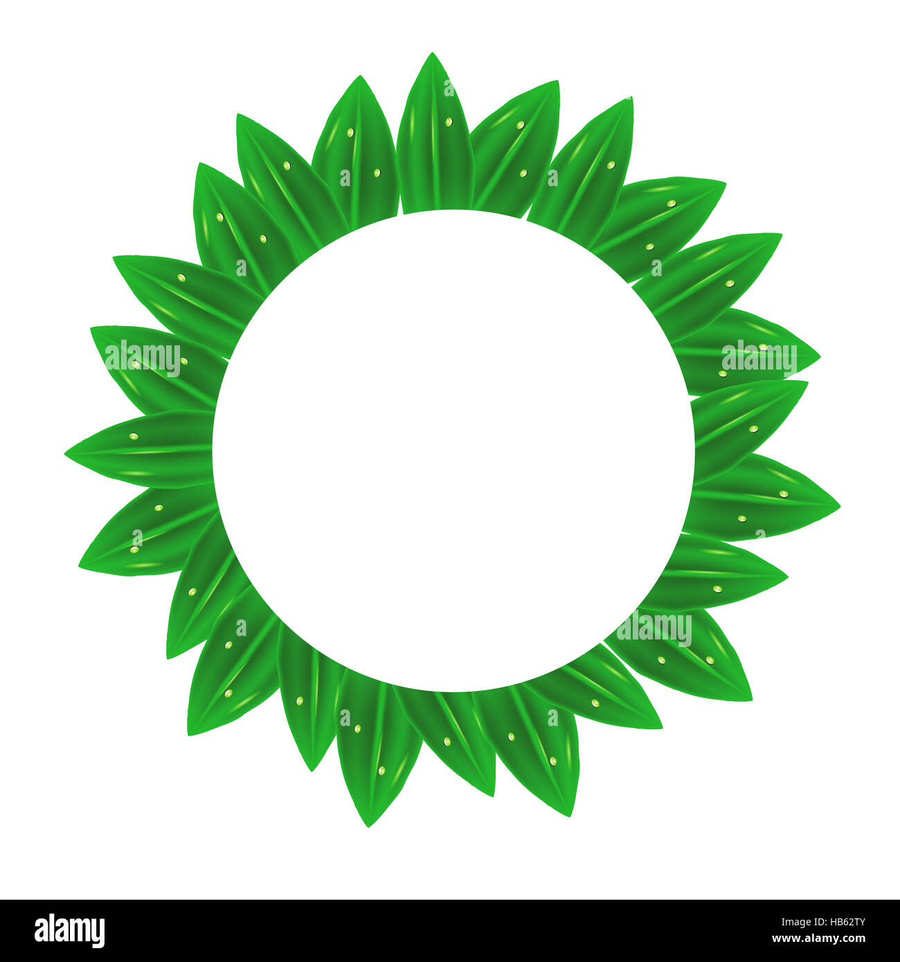 Modern circle frame green hi-res stock photography and images - Alamy