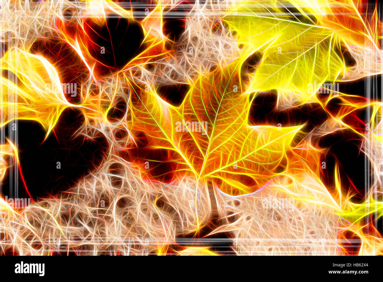 Multiple color leaf hi-res stock photography and images - Alamy
