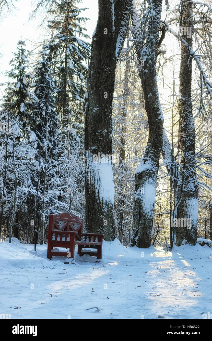 wood bench in winter Stock Photo - Alamy