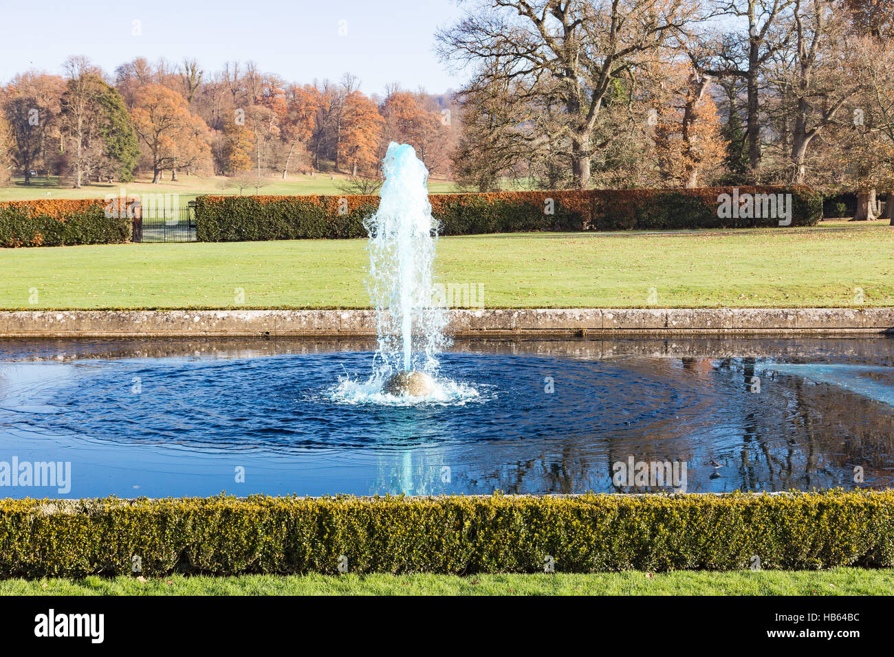 Longleat peacock hi-res stock photography and images - Alamy