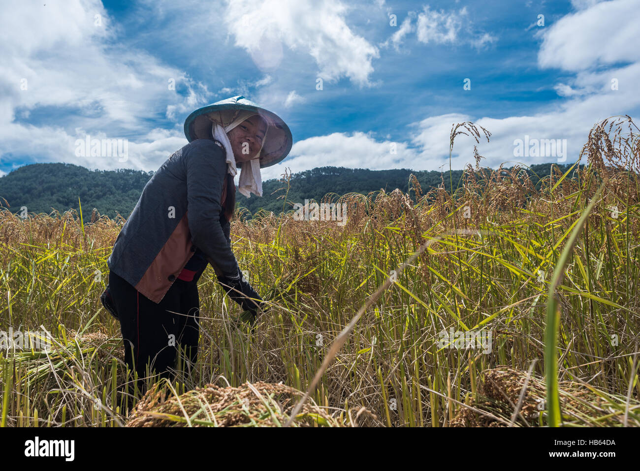 Ground control harvest hi-res stock photography and images - Alamy