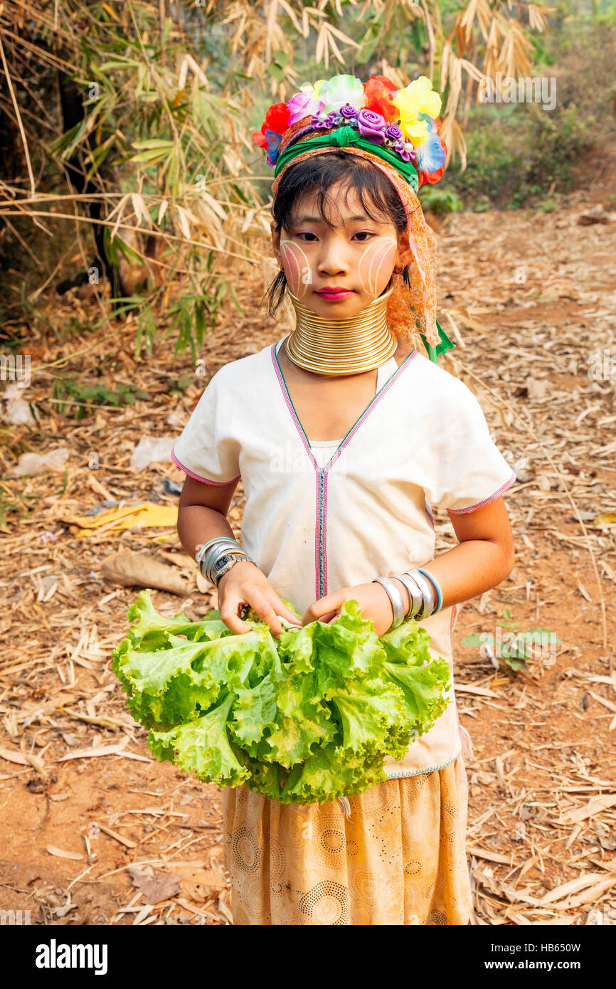 Long neck girls of Northern Thailand, Asia Stock Photo - Alamy