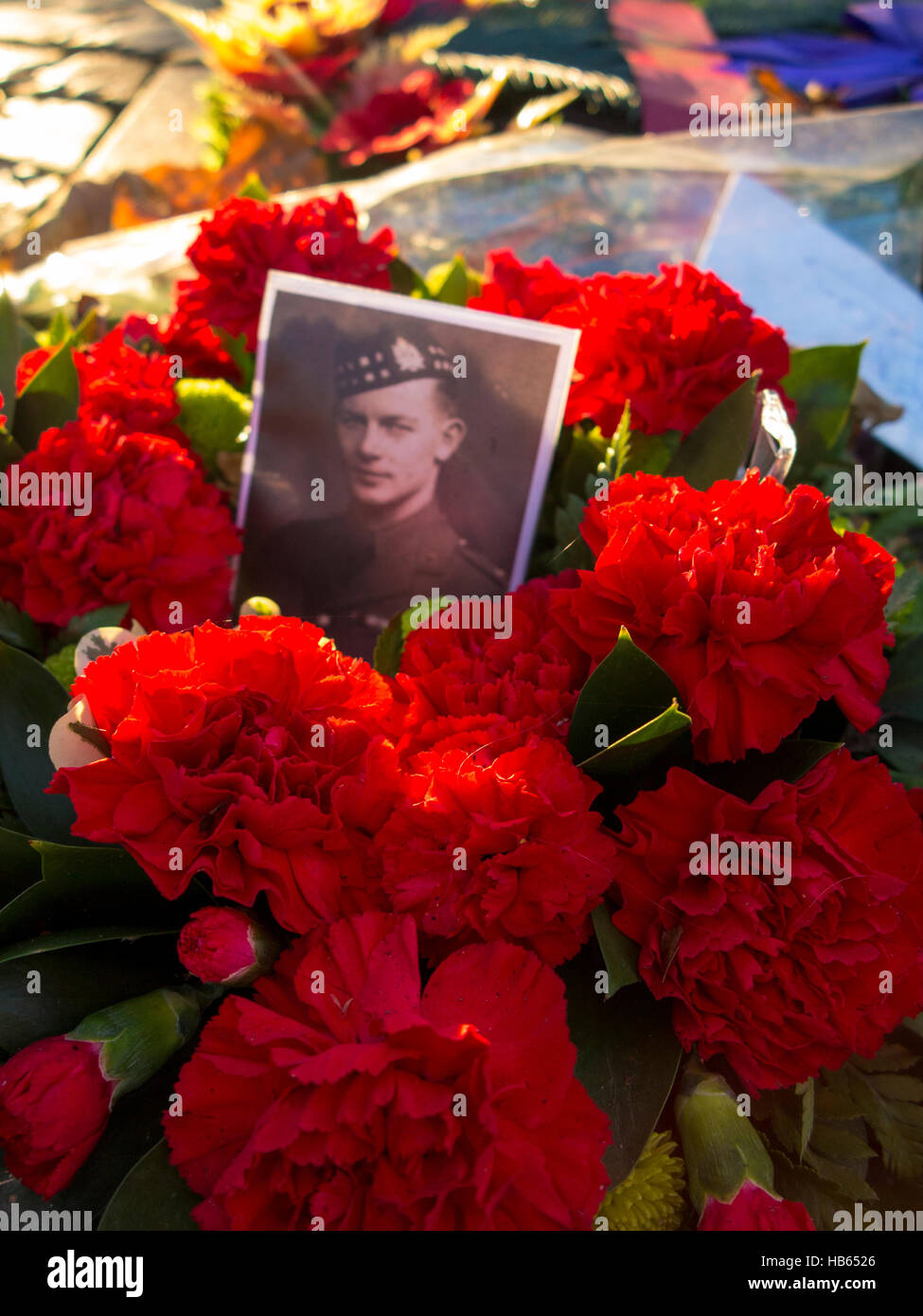 A photograph of a First World war hero at Remembrance Stock Photo - Alamy