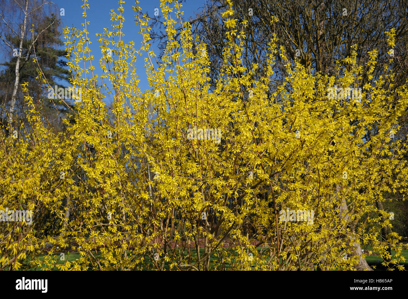 Suspensa hi-res stock photography and images - Alamy