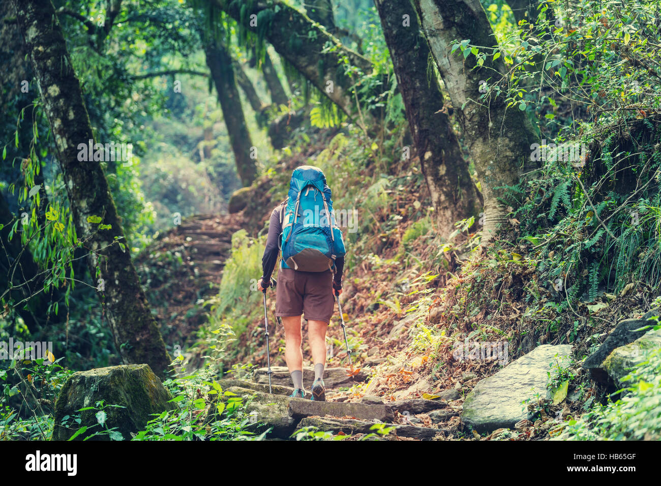 Hike in Nepal jungle Stock Photo - Alamy