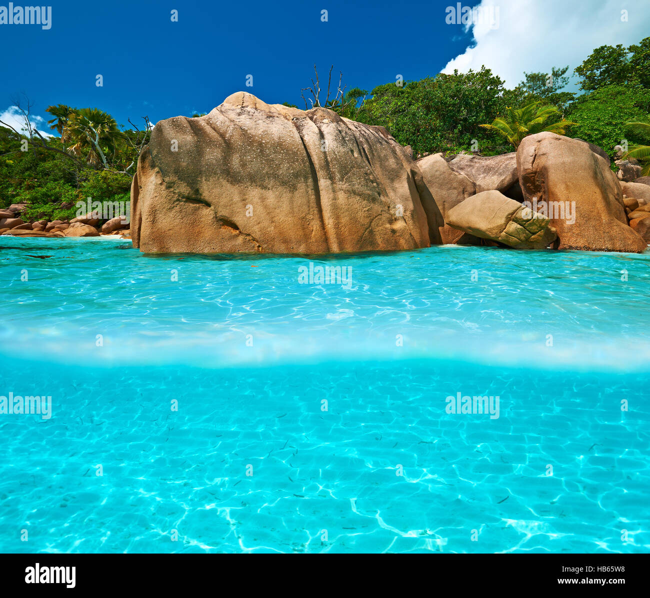 Beach with white sand bottom underwater view Stock Photo - Alamy