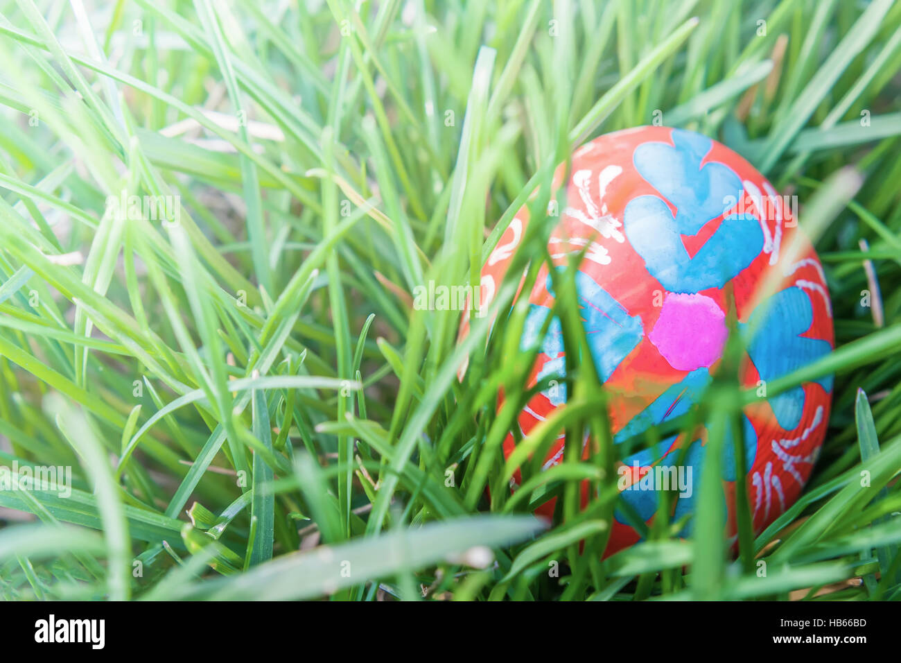 Egg in grass hi-res stock photography and images - Alamy