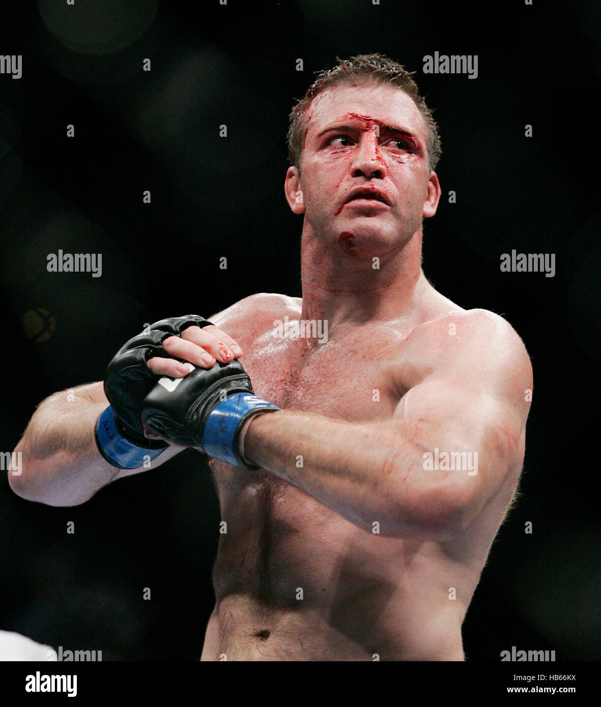 Mma Blood Stock Photos & Mma Blood Stock Images - Alamy
