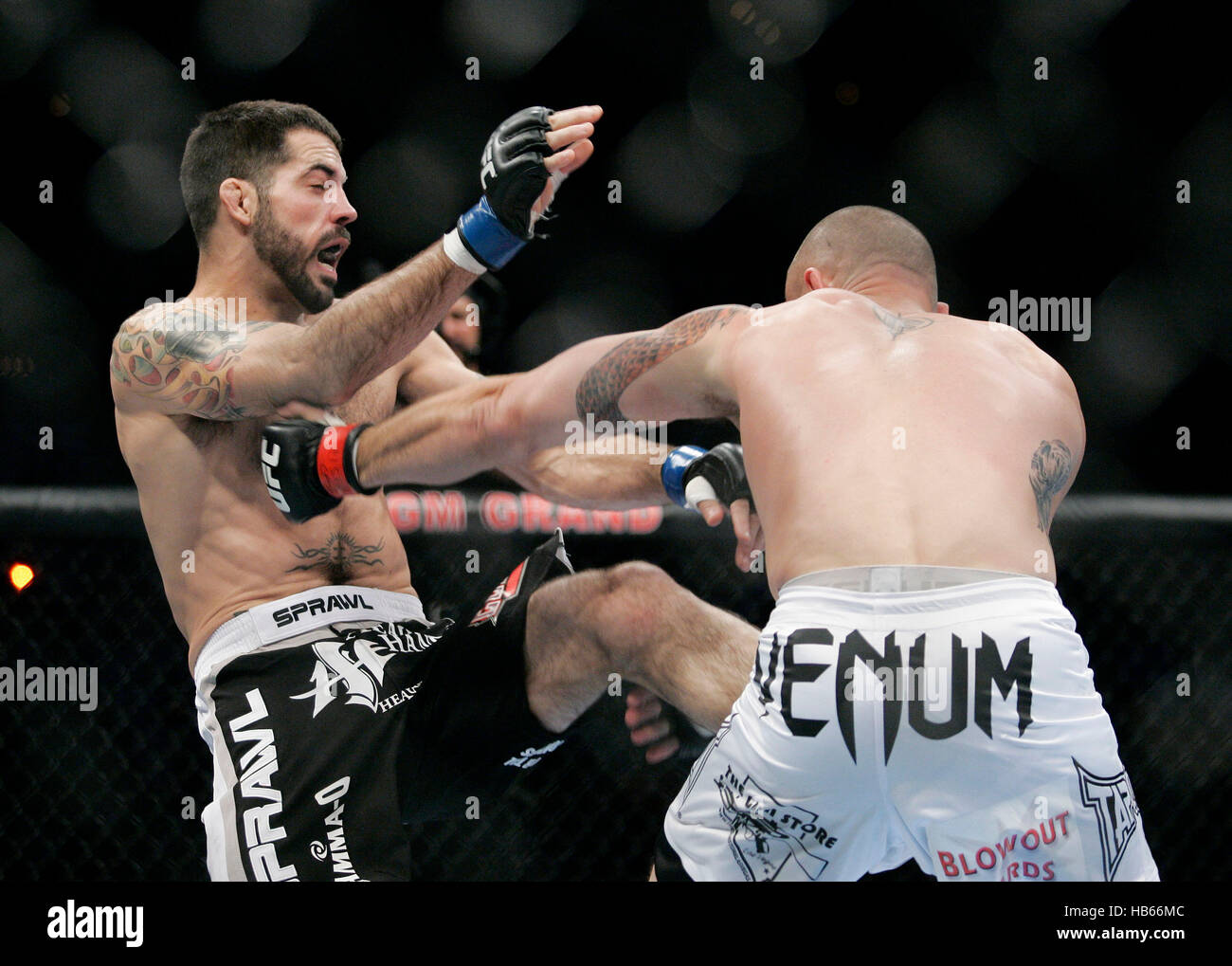 UFC fighter Chris Lytle, right, fights Matt Brown at UFC 116 at the ...