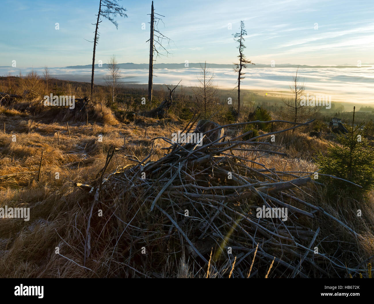 Beautiful morning view Stock Photo - Alamy