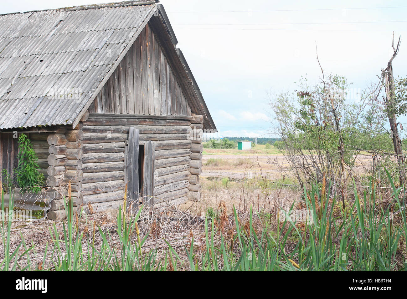 House in a field with reeds Stock Photo - Alamy