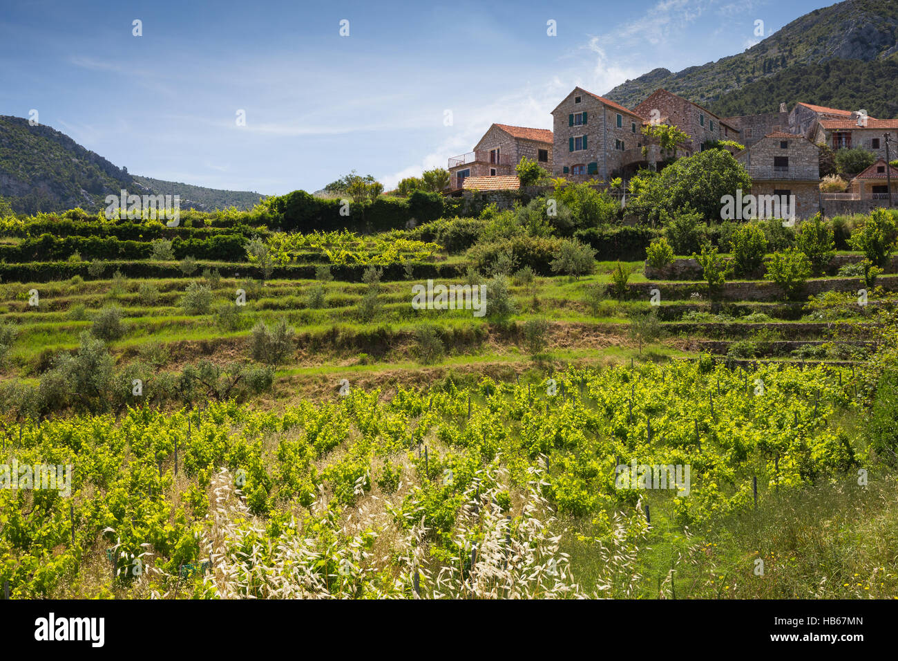 Country rural farming hi-res stock photography and images - Alamy