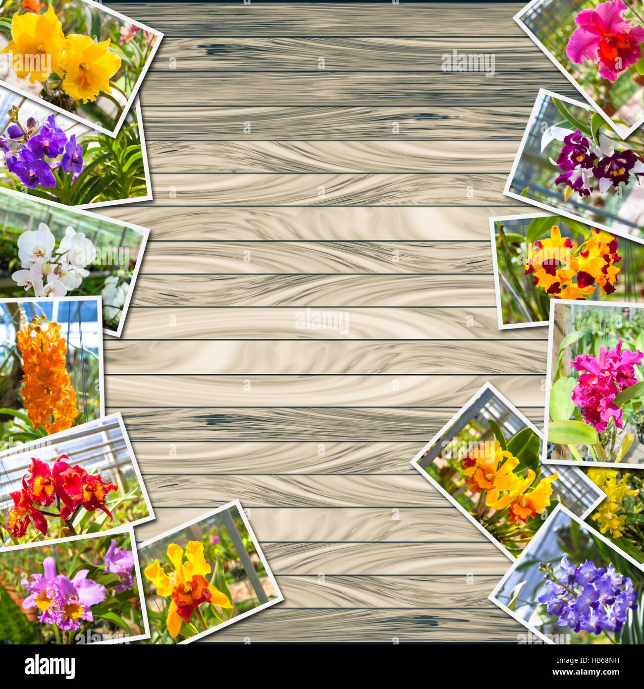 Album stack hi-res stock photography and images - Alamy