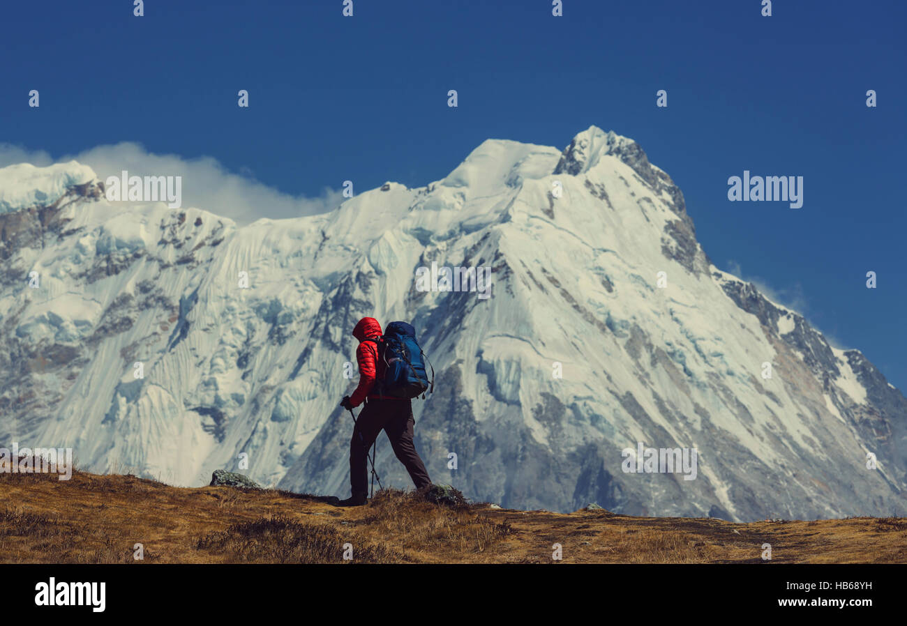 Hike in Himalayas Stock Photo - Alamy
