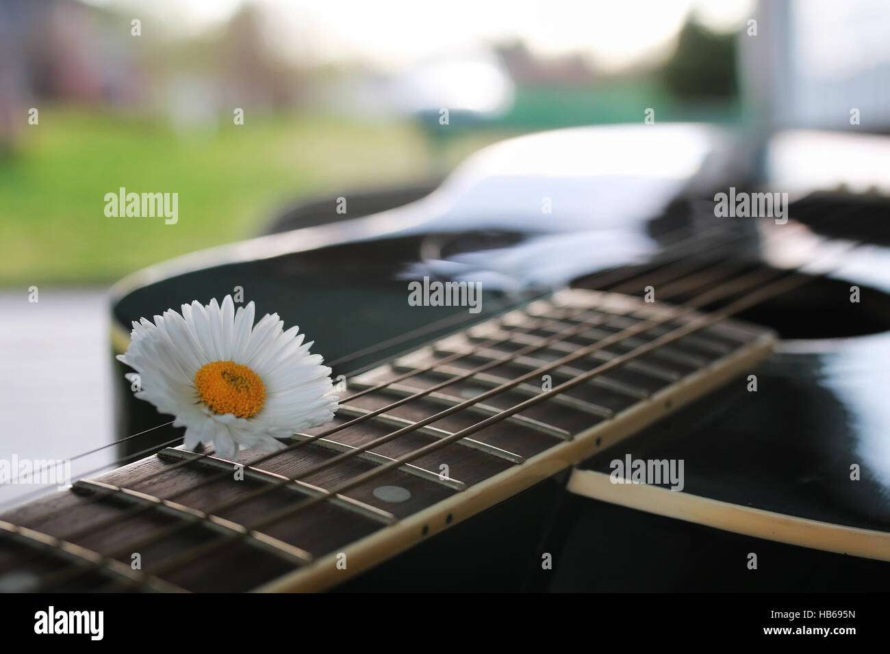 guitar string daisy Stock Photo - Alamy