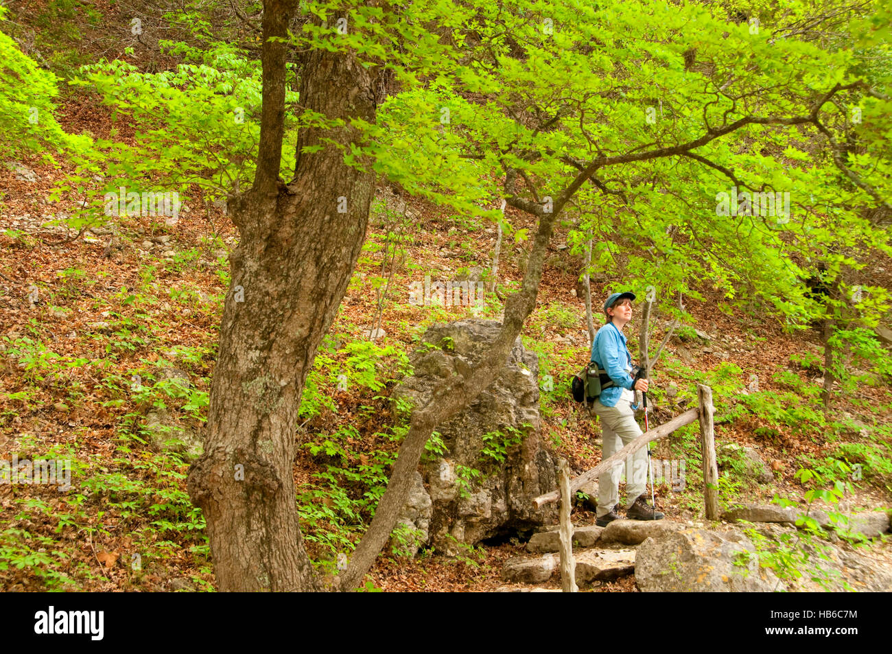 Lost maples state park hi-res stock photography and images - Alamy