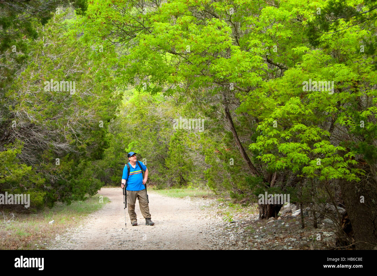 East Trail, Lost Maples State Park, Texas Stock Photo - Alamy