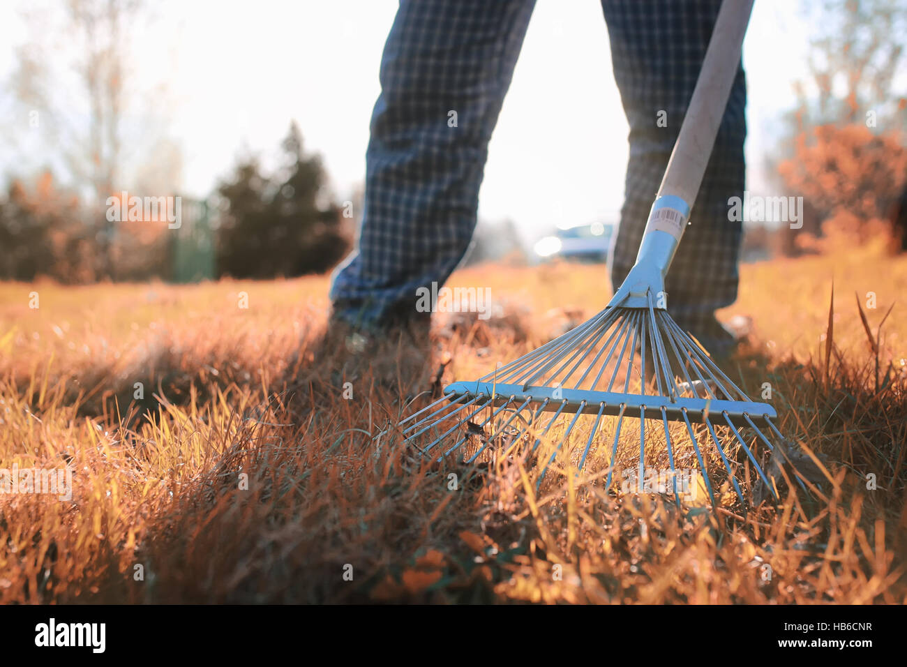 man with rakes in autumn old grass Stock Photo - Alamy