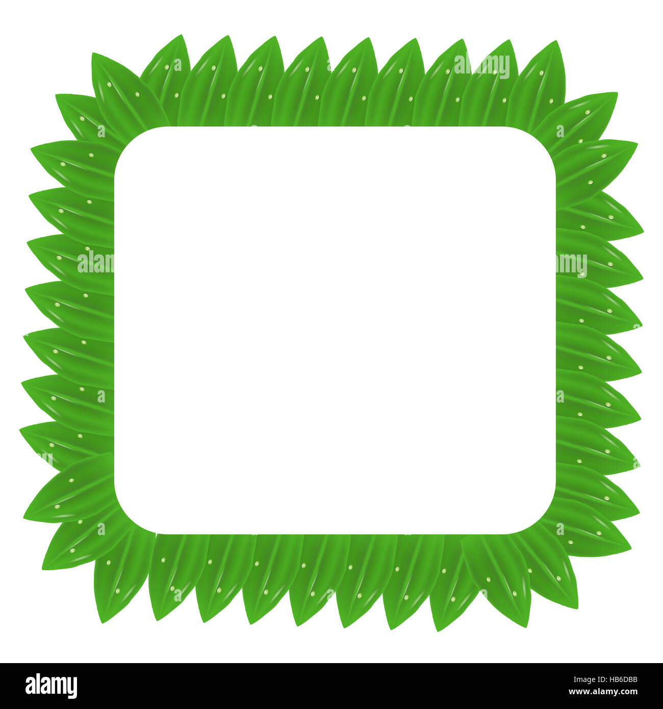 Square Green Leaves Frame Stock Photo - Alamy