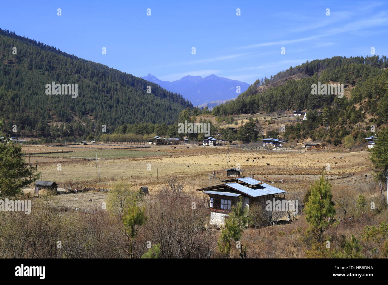 Countryside houses, Bhutan Stock Photo - Alamy