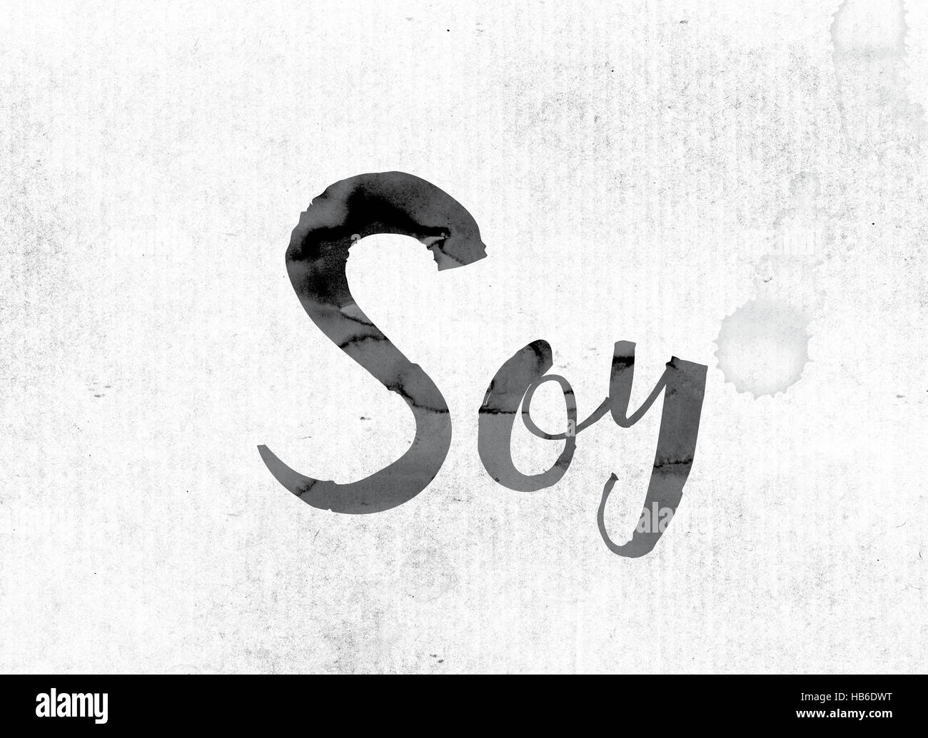 The word "Soy" concept and theme painted in watercolor ink on a white ...