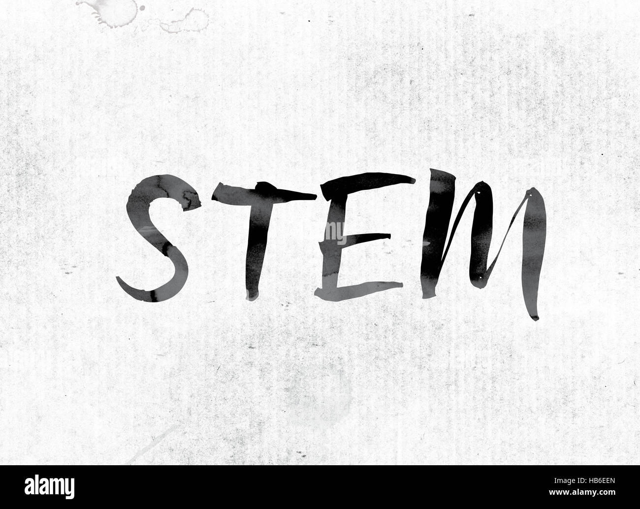 The word "STEM" concept and theme painted in watercolor ink on a white ...