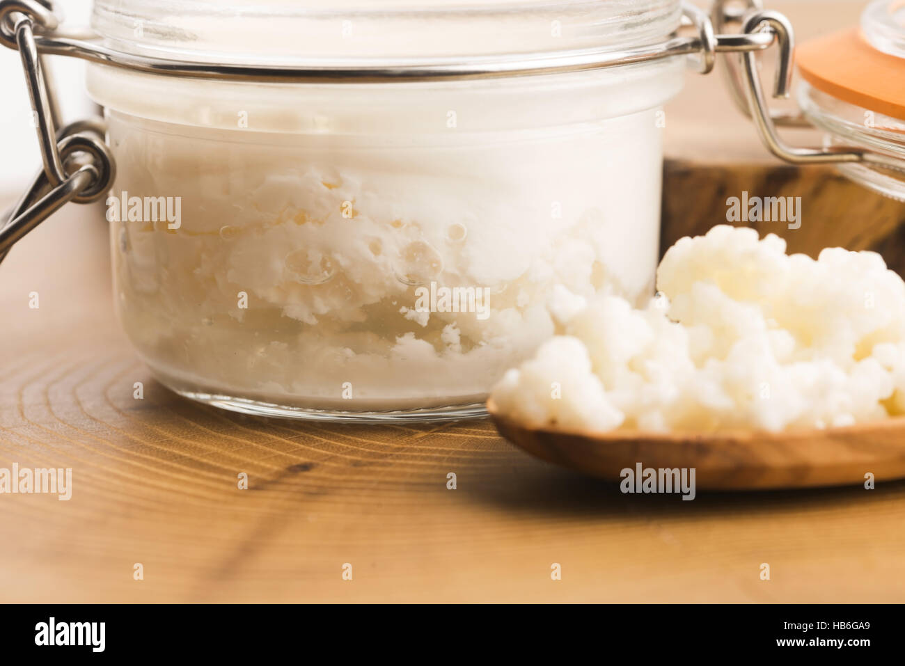 Organic probiotic milk kefir grains Stock Photo - Alamy