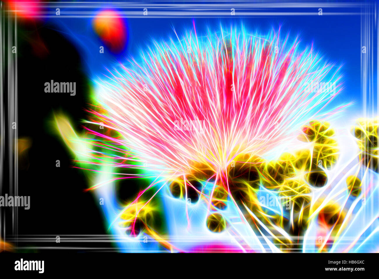 Sleeping tree hi-res stock photography and images - Alamy