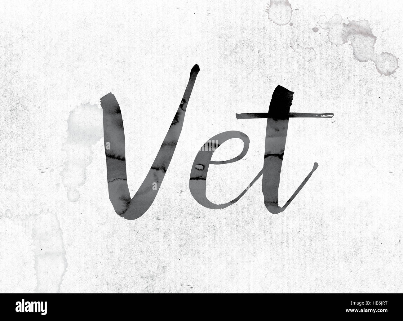 The word "Vet" concept and theme painted in watercolor ink on a white ...