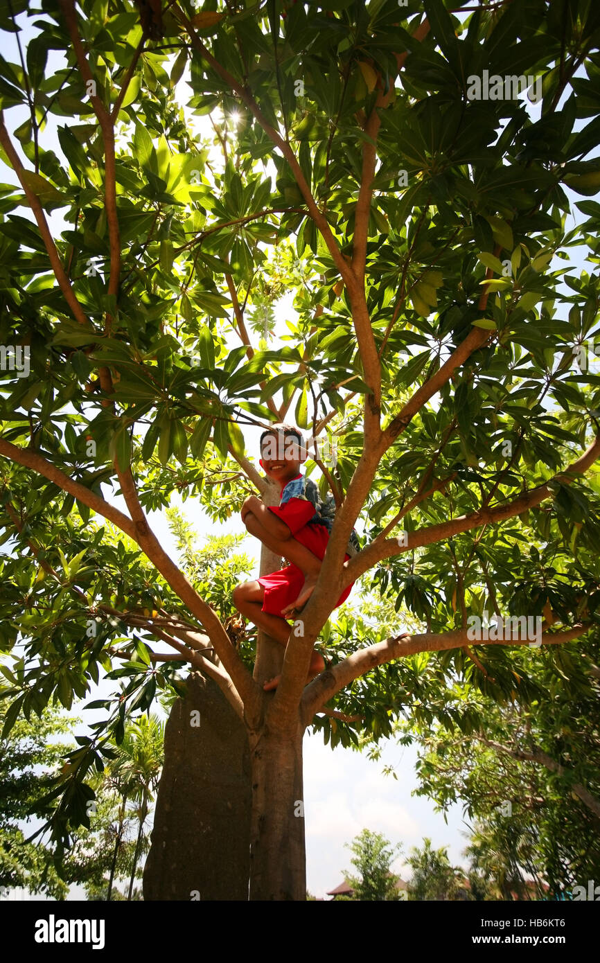 Teenage boy climbing up tree Stock Photo - Alamy