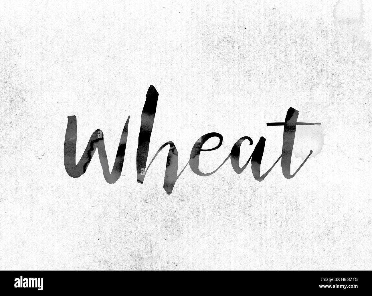 The word "Wheat" concept and theme painted in watercolor ink on a white ...
