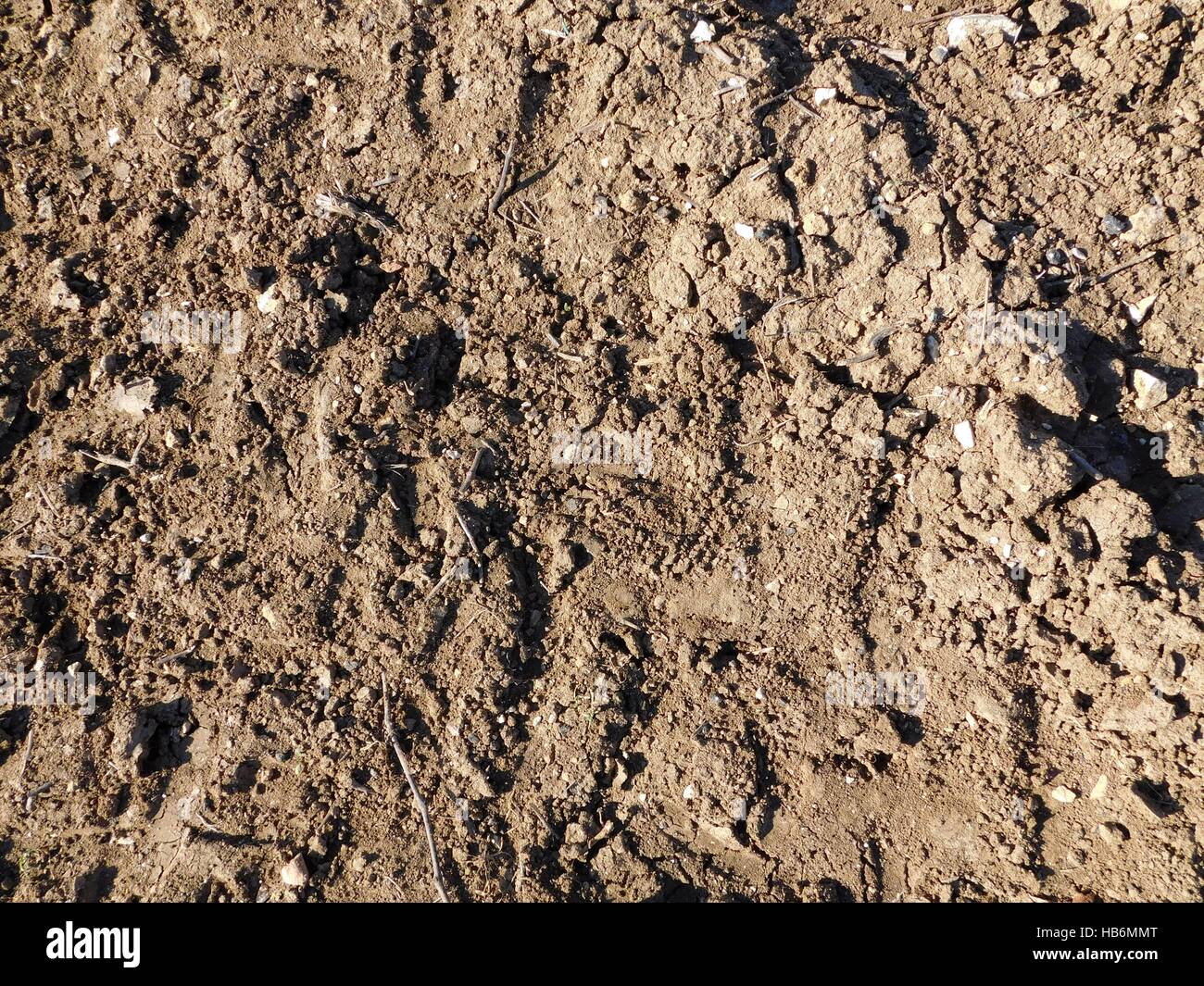 Texture of earth Stock Photo - Alamy