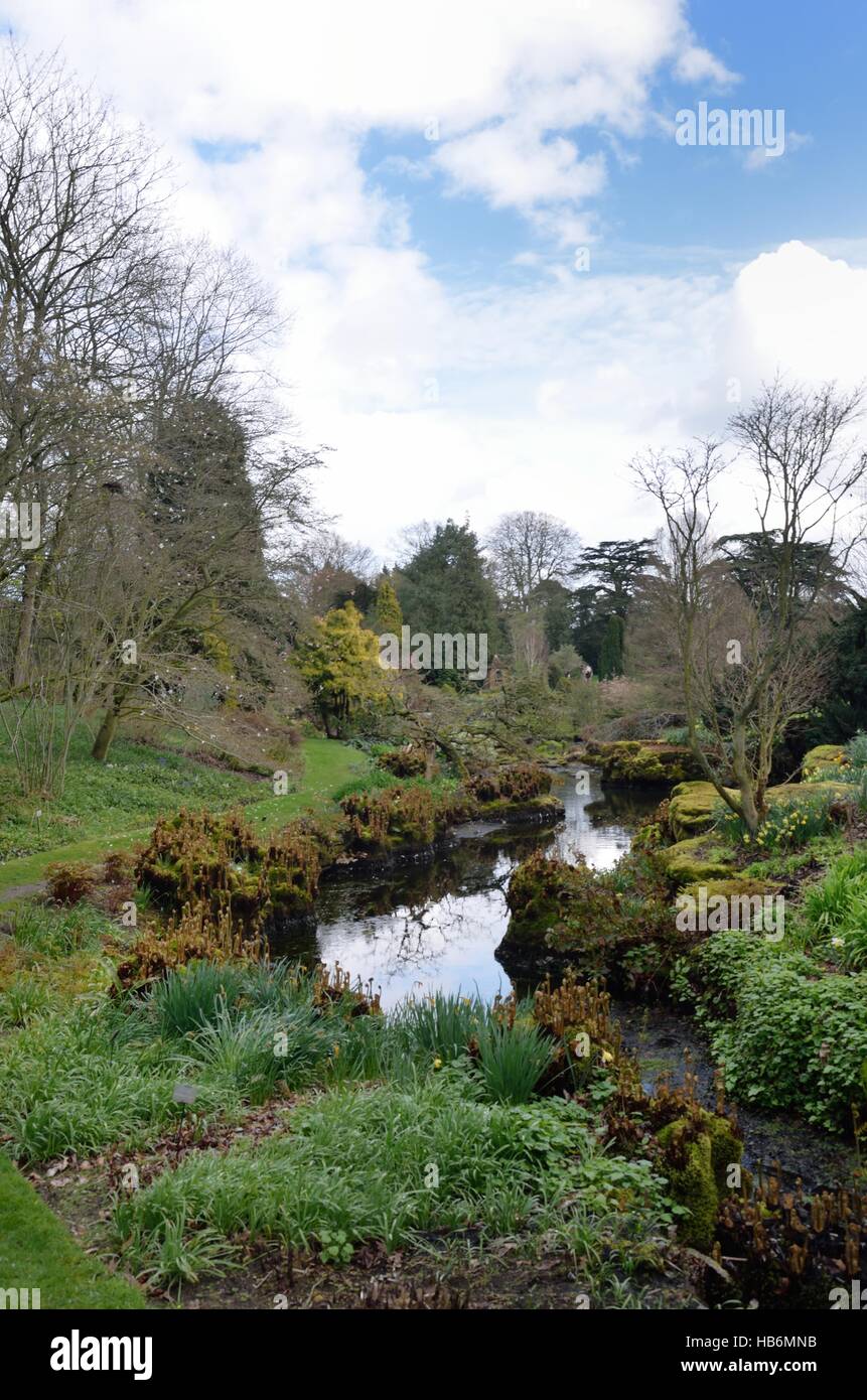 Stream in country garden Stock Photo - Alamy
