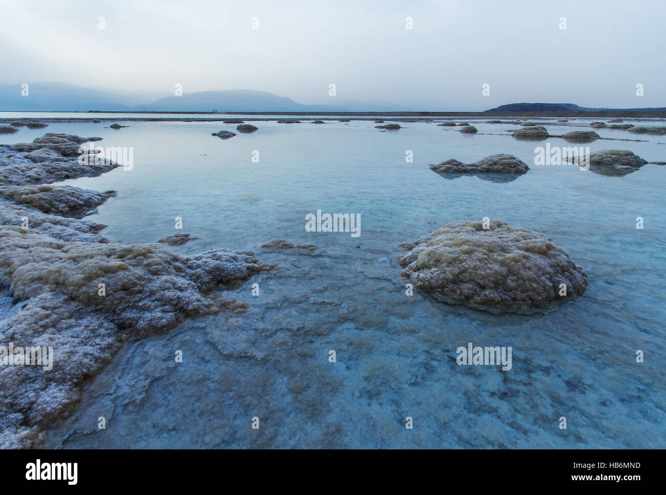 Beautiful coast of the Dead Sea Stock Photo - Alamy