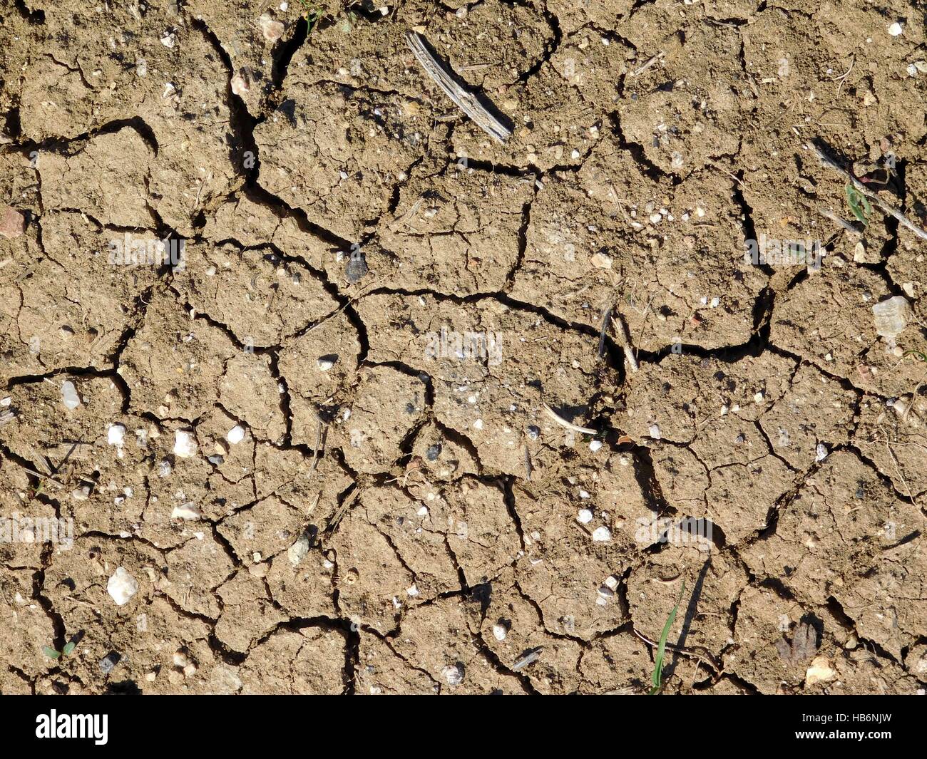 Texture of arid land Stock Photo - Alamy