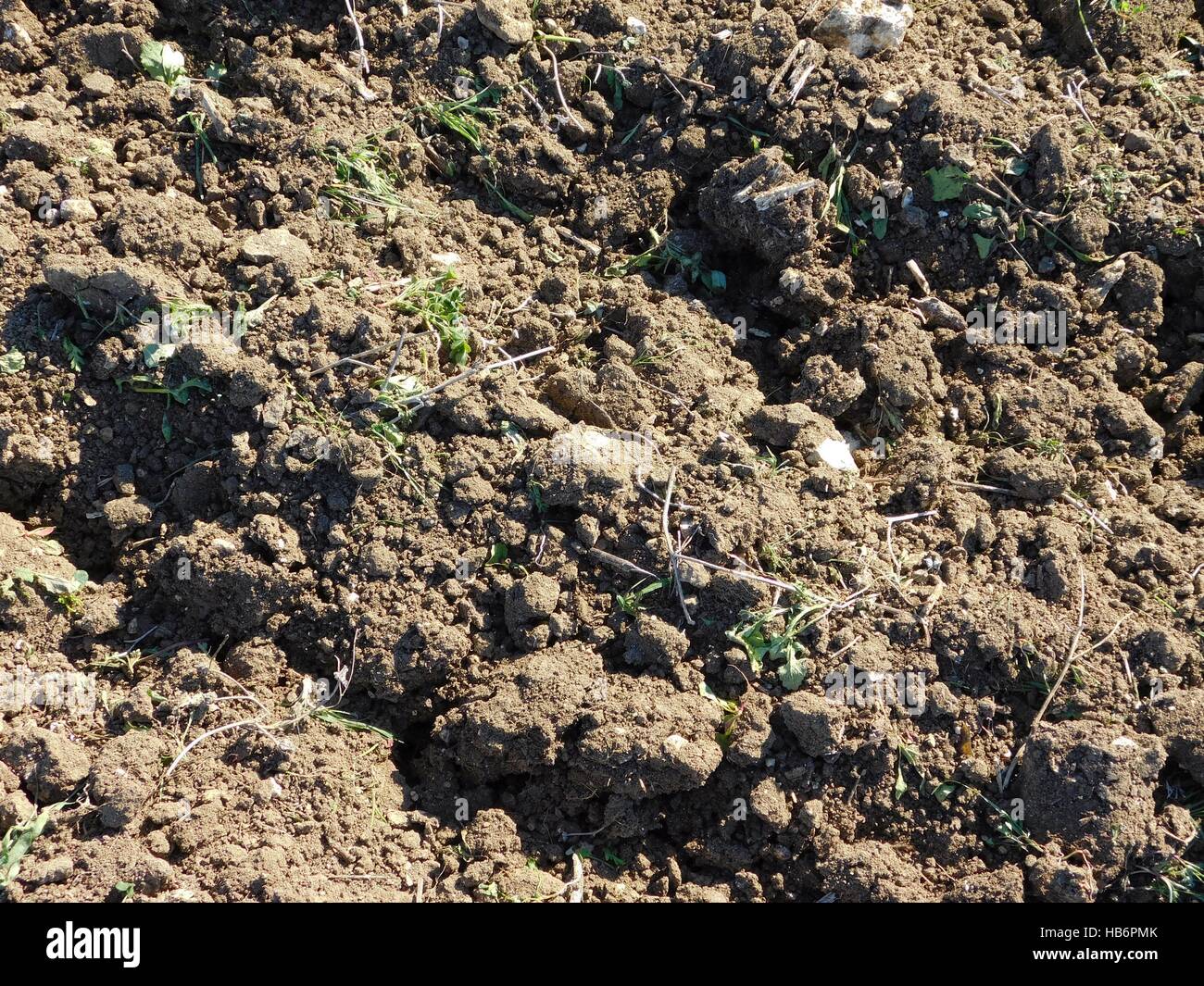 Texture of earth Stock Photo - Alamy