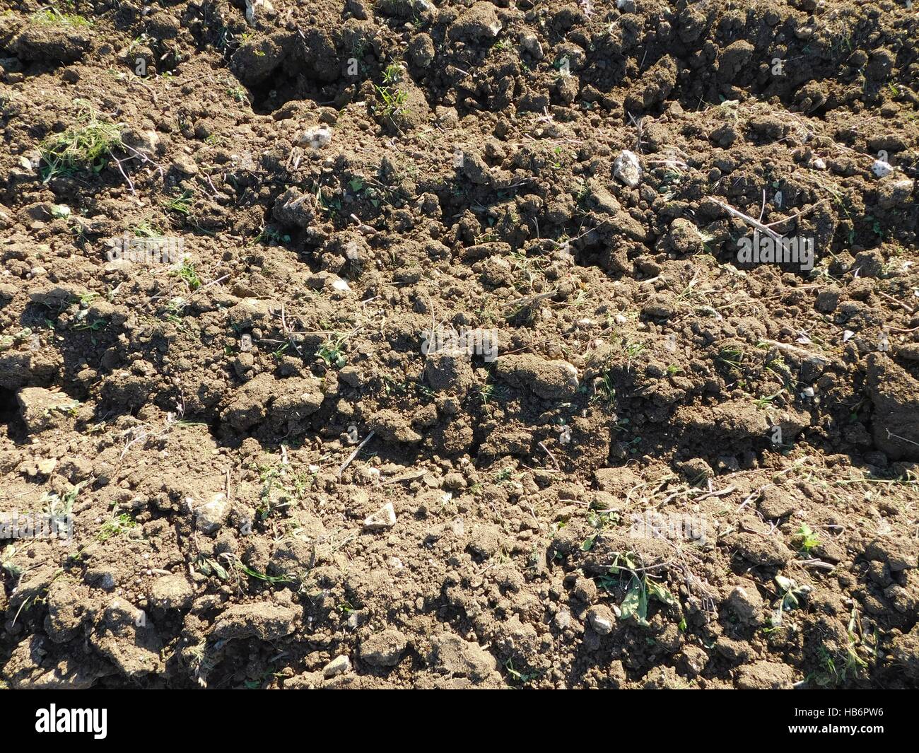 Texture of earth Stock Photo - Alamy