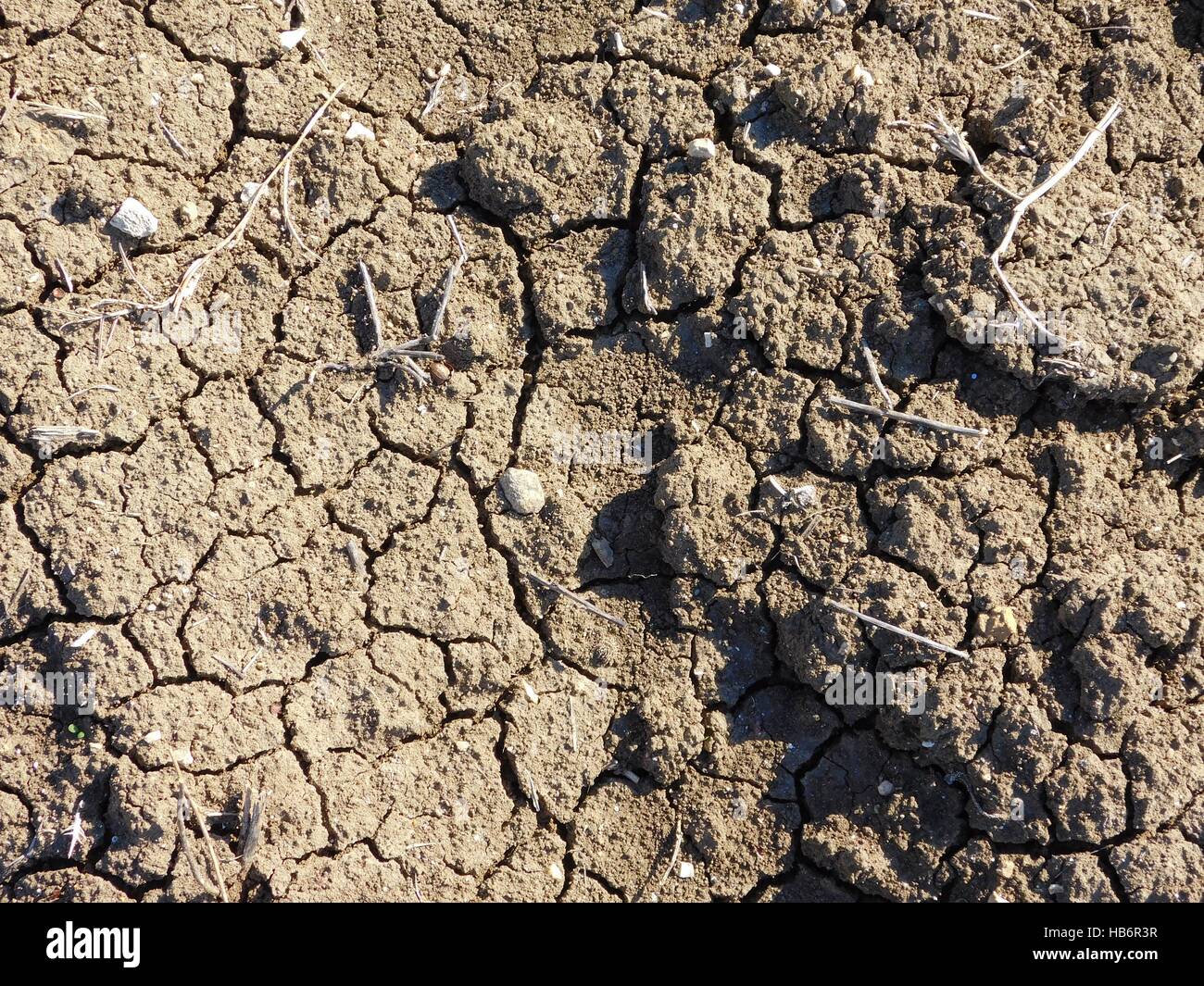 Texture of earth Stock Photo - Alamy