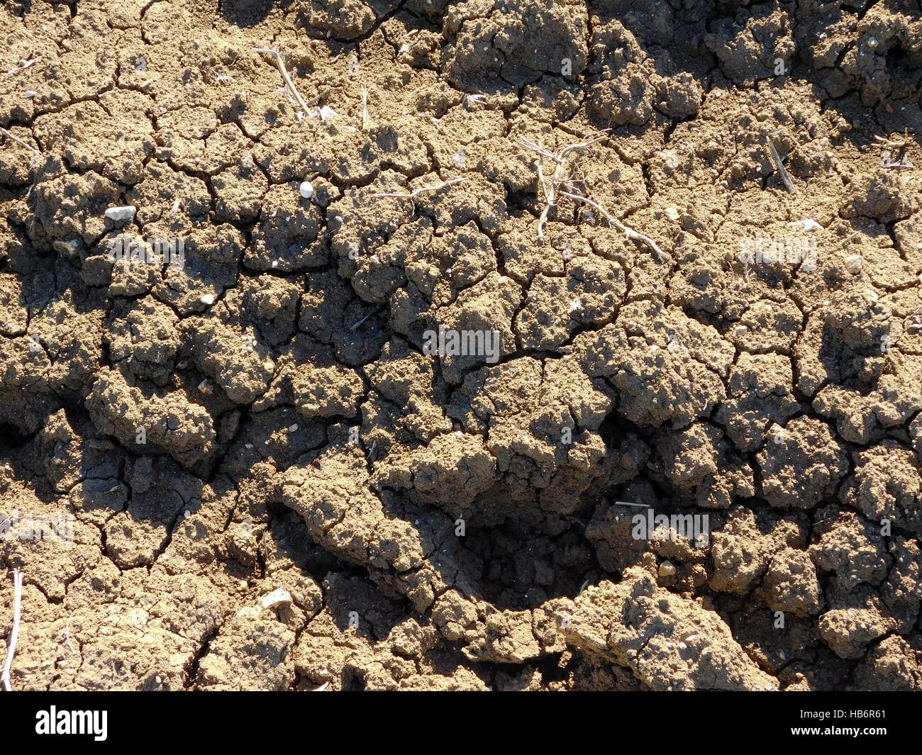 Texture of earth Stock Photo - Alamy