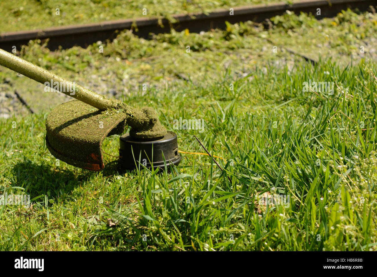 Rasentrimmer hi-res stock photography and images - Alamy