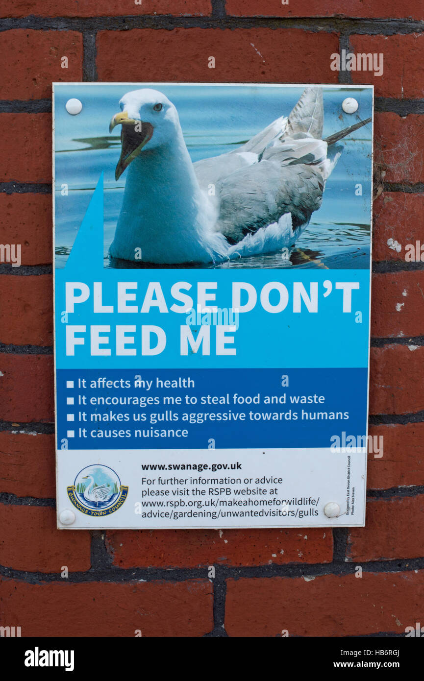 Dorset council sign hi-res stock photography and images - Alamy